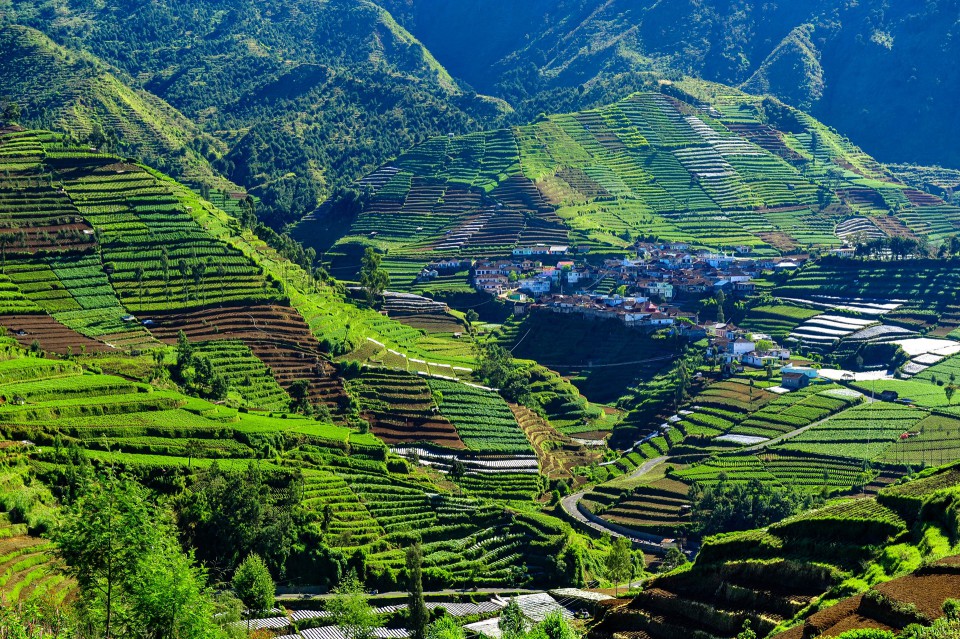 Die indonesische Insel Java - Ein Mix der Kulturen