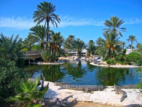 Tunesische Insel Djerba - alle Tipps & Infos ⏩ | Urlaubsguru