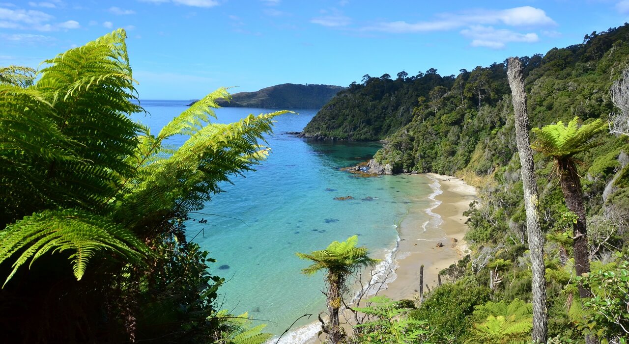 Die wichtigsten Neuseeland Reisetipps von A - Z | Urlaubsguru