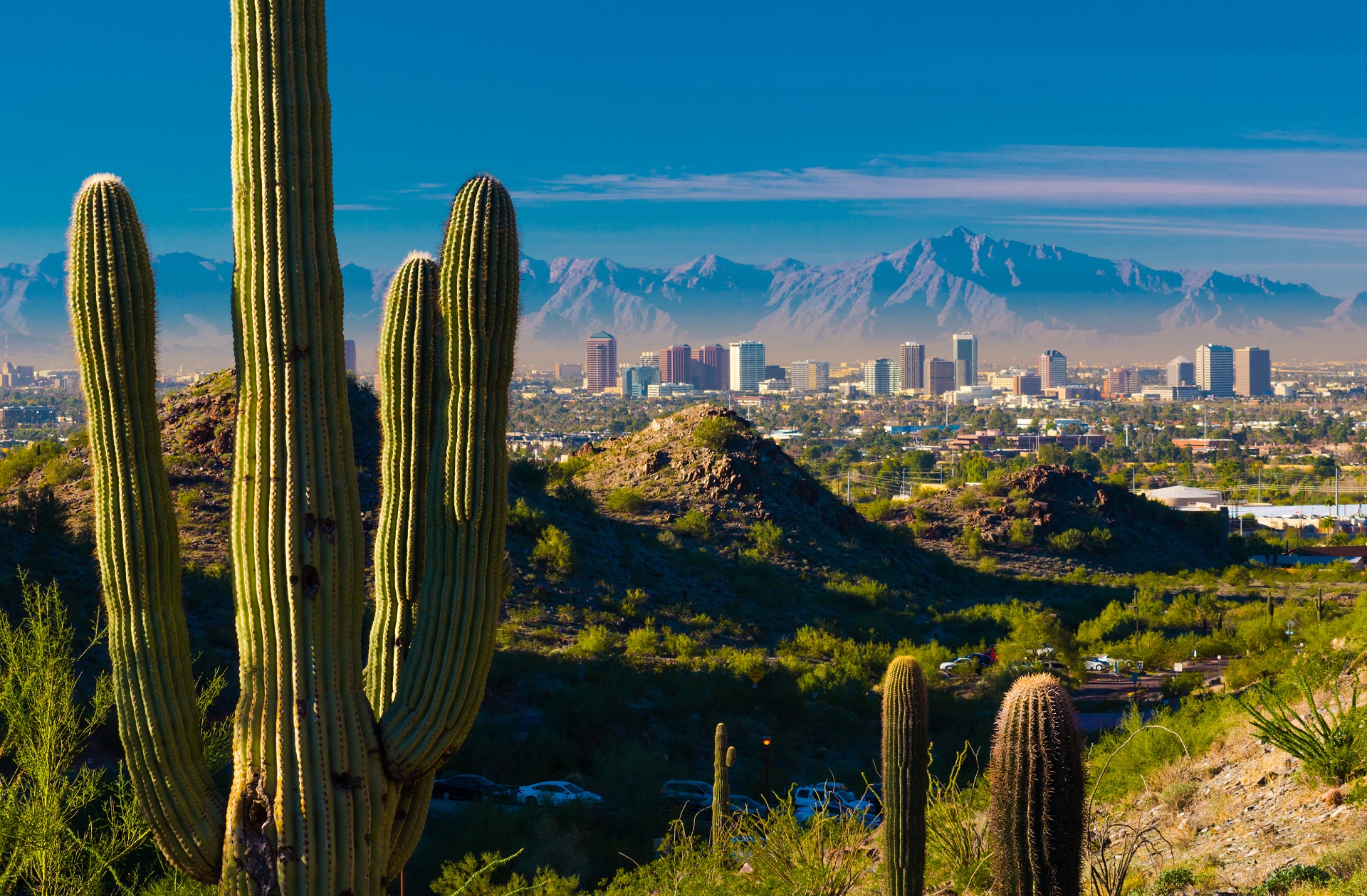 Arizonas Süden - Tucson & Phoenix | Urlaubsguru