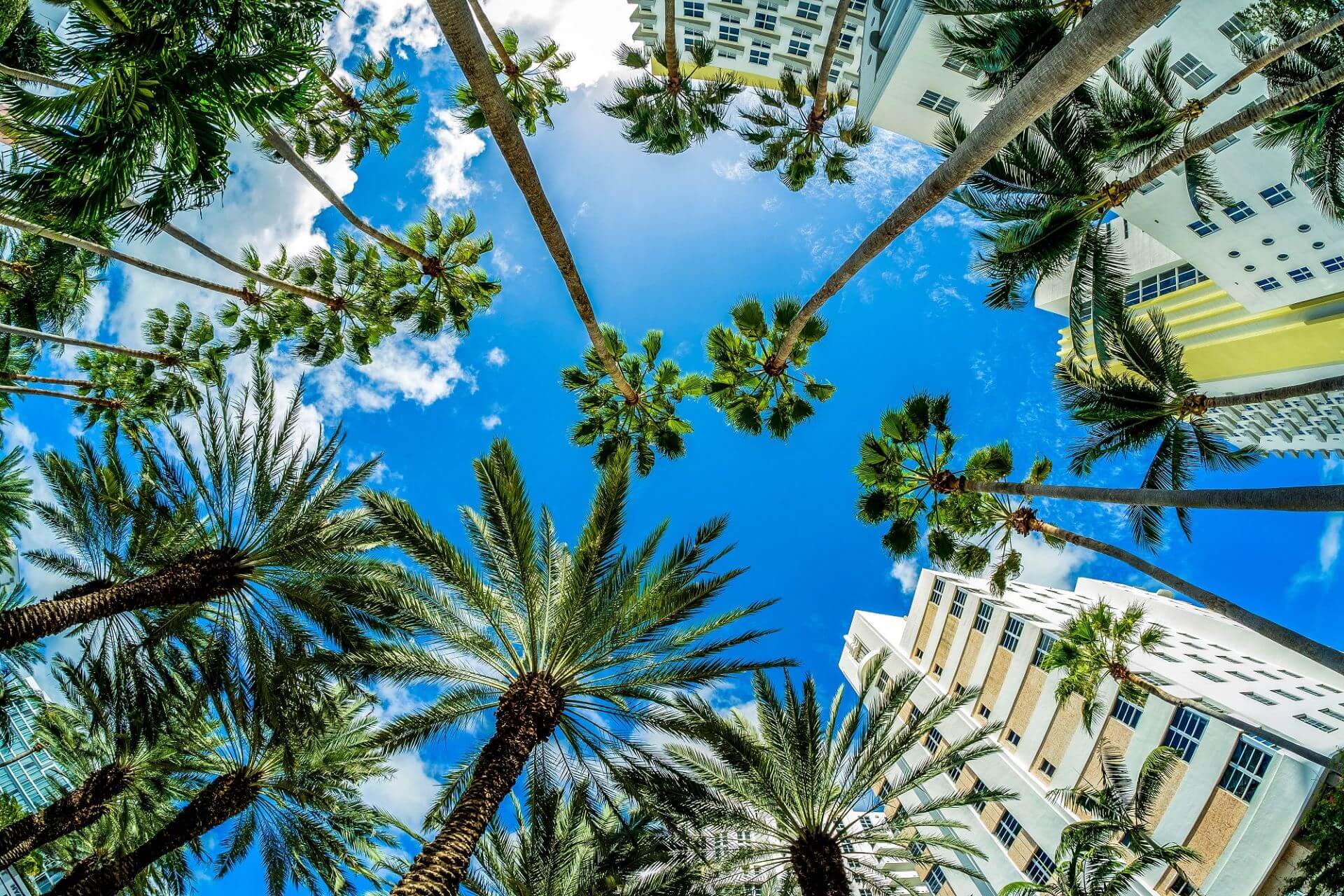 Beste Reisezeit Miami 2025 - Infos zu Klima, Wetter und Regenzeit