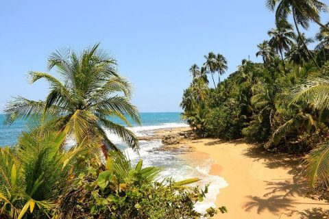 Top 10 Sehenswürdigkeiten in Costa Rica 🌱 | inkl. Karte