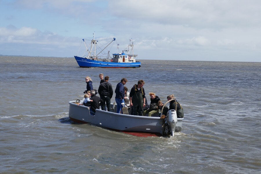 Das Wattenmeer der Niederlande: Erholung für die Seele | Urlaubsguru