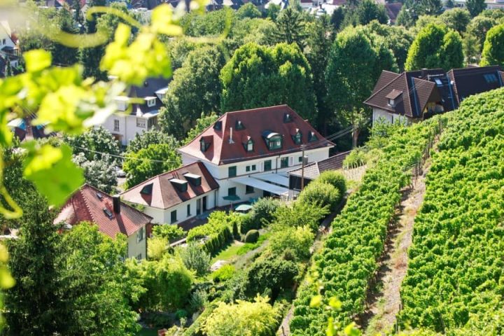 Top 10 Sehenswürdigkeiten in Karlsruhe