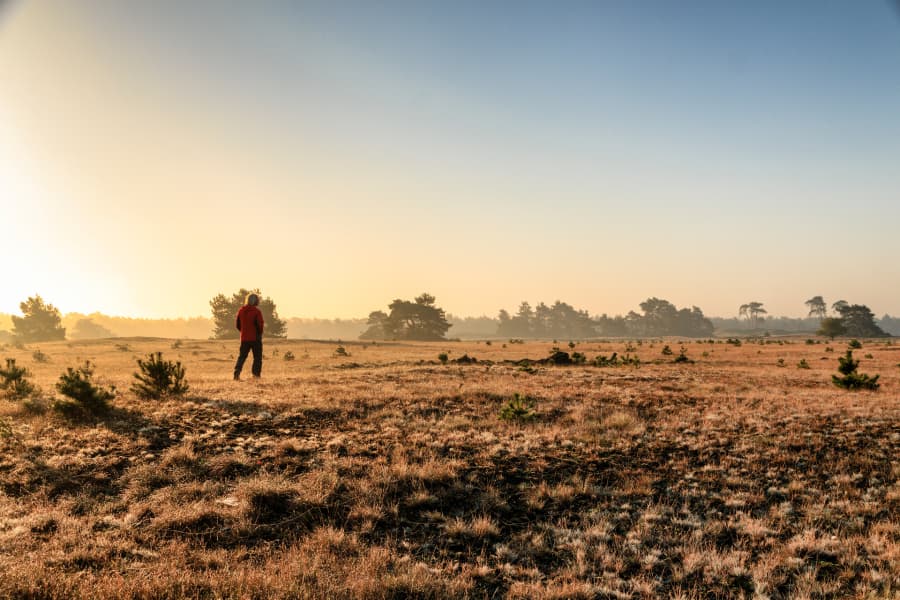 Das andere Holland: Entdecke Arnhem, Nijmegen und die Region Veluwe